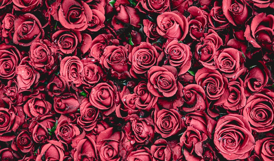 Luxury Roses | Los Angeles Florist | Same-Day Delivery–The Flower Factory